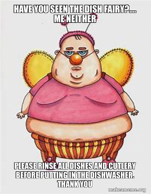Have you seen the dish fairy?.... Me Neither please rinse all dishes ...