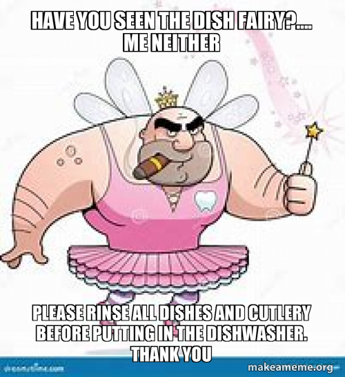 Have you seen the dish fairy?.... Me Neither please rinse all dishes ...