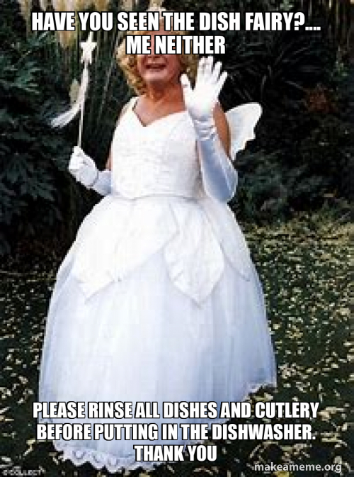 Have you seen the dish fairy?.... Me Neither please rinse all dishes ...