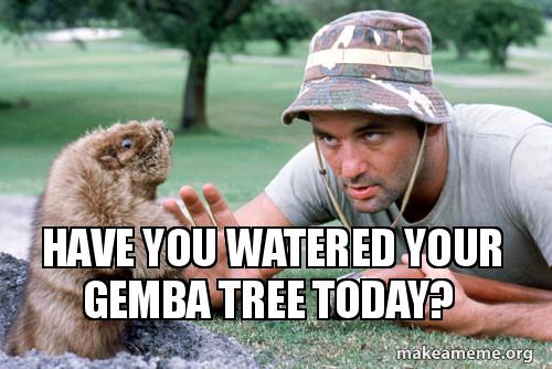 Have you watered your Gemba tree today? Meme Generator