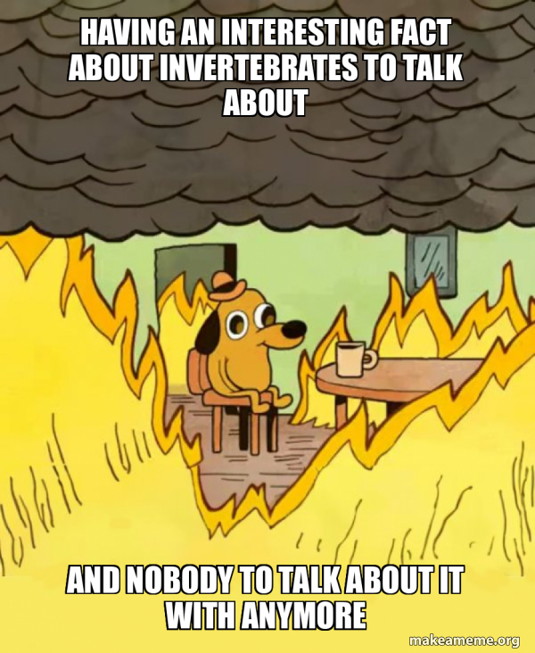 Having an interesting fact about invertebrates to talk about and nobody ...