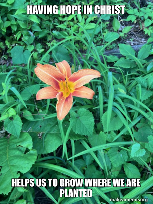 Having hope in Christ Helps us to grow where we are planted Meme Generator