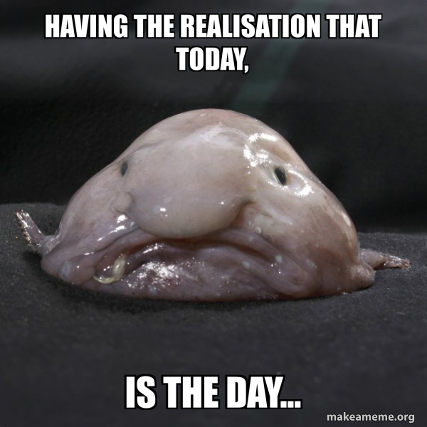 Having the realisation that today, is the day... - Blobfish Meme Generator