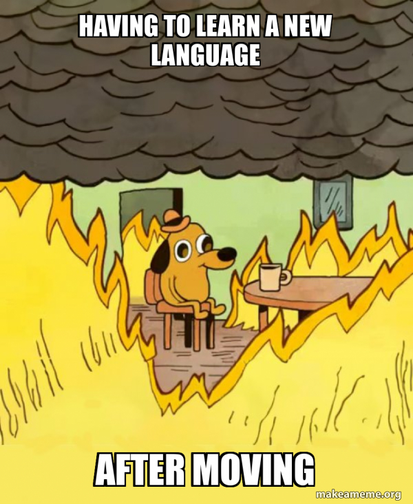 Having to learn a new language After moving - This Is Fine Meme Generator