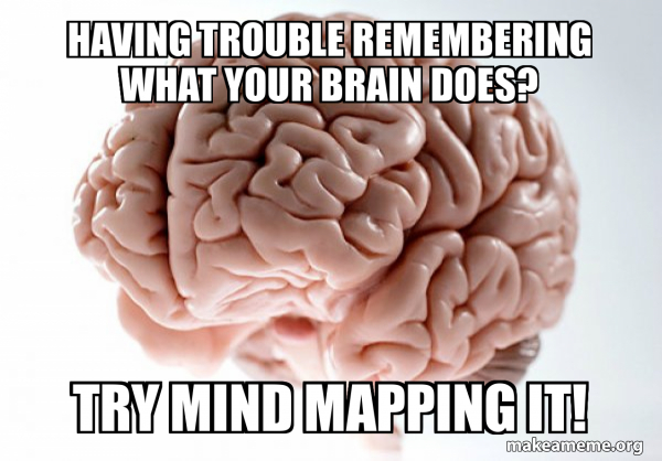 Having trouble remembering what your brain does? Try mind mapping it ...