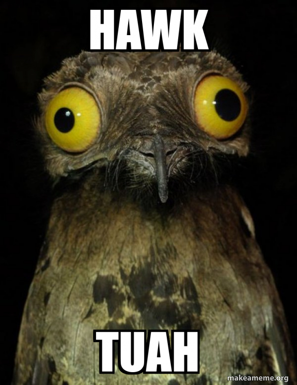 hawk tuah - Weird Stuff I do Potoo Meme Generator
