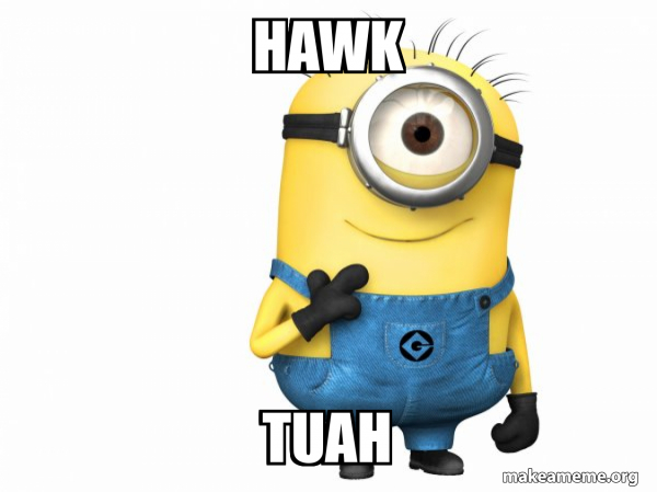 hawk tuah - Thoughtful Minion Meme Generator