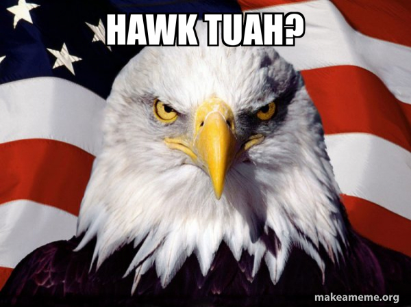 HAWK TUAH? - American Pride Eagle Meme Generator