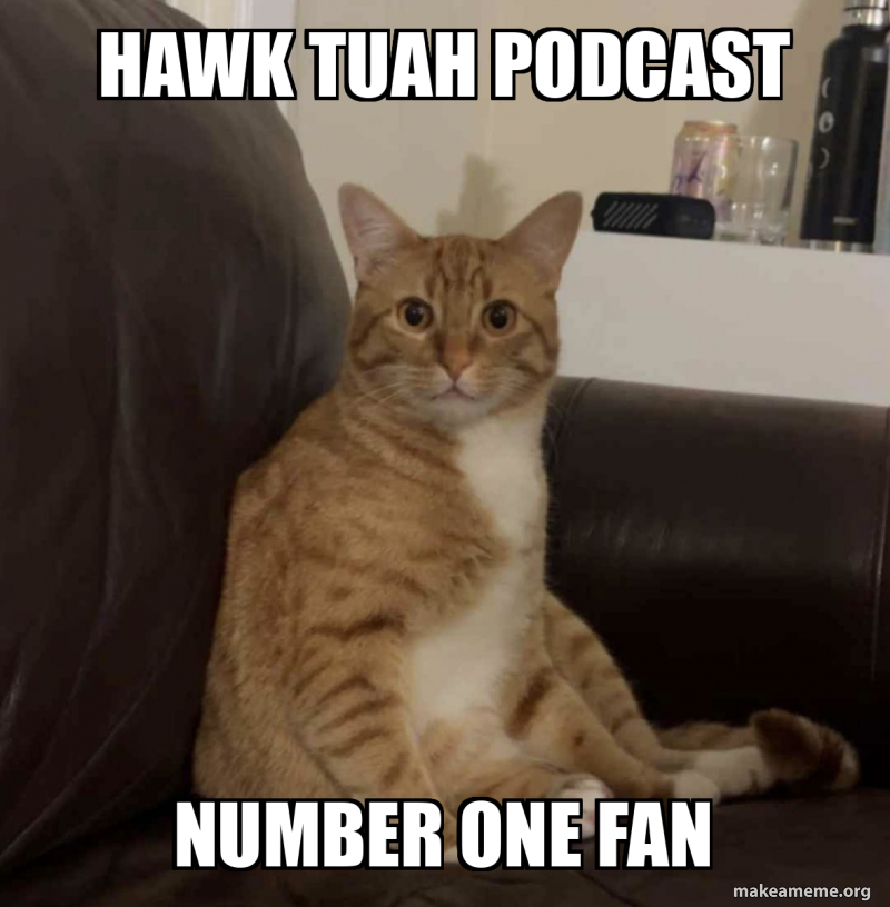 Hawk tuah podcast Number one fan Meme Generator