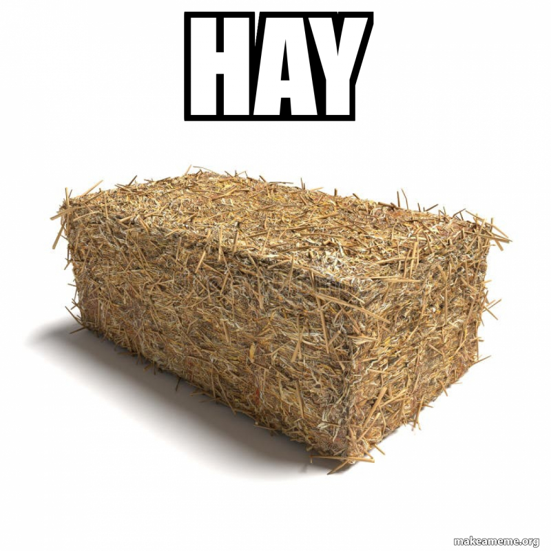 HAY Meme Generator