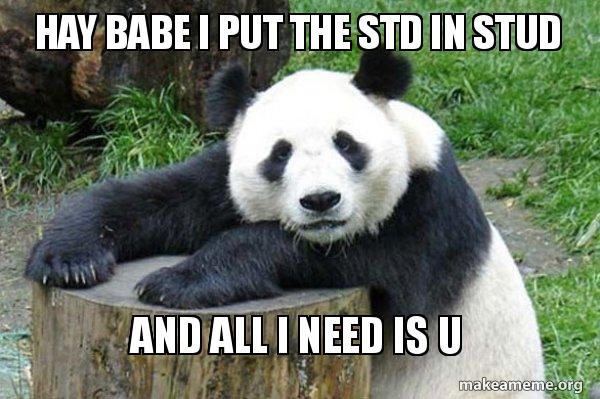 Hay babe i put the STD in stud and all i need is U - Confession Panda ...