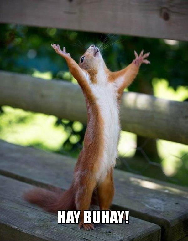 Hay buhay! - Happy Squirrel Meme Generator