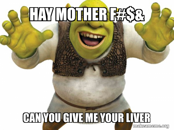 Hay mother F#$& Can you give me your liver - Shrek Meme Generator