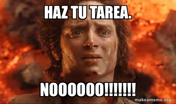 Haz tu tarea. NOOOOOO!!!!!!! - Frodo it's over it's done Meme Generator