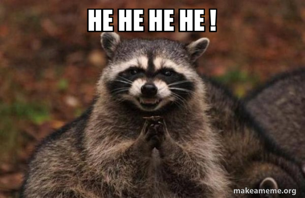 He He He He ! - Evil Plotting Raccoon Meme Generator