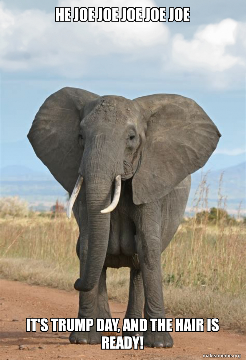 He Joe Joe Joe Joe Joe It's Trump Day, and the hair is ready! Meme ...