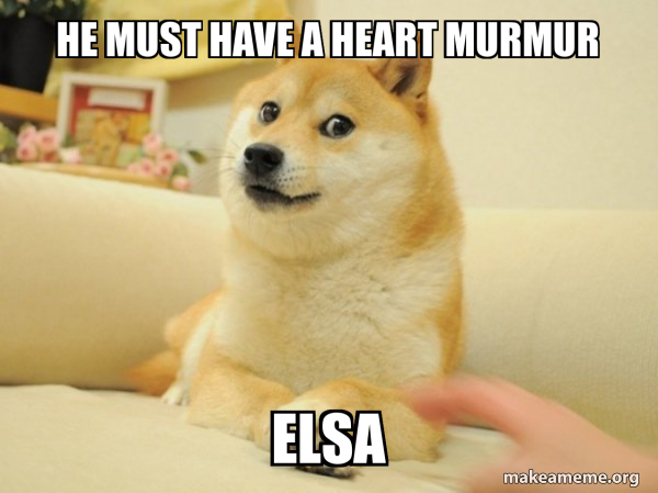He must have a heart murmur Elsa - Doge Meme Generator