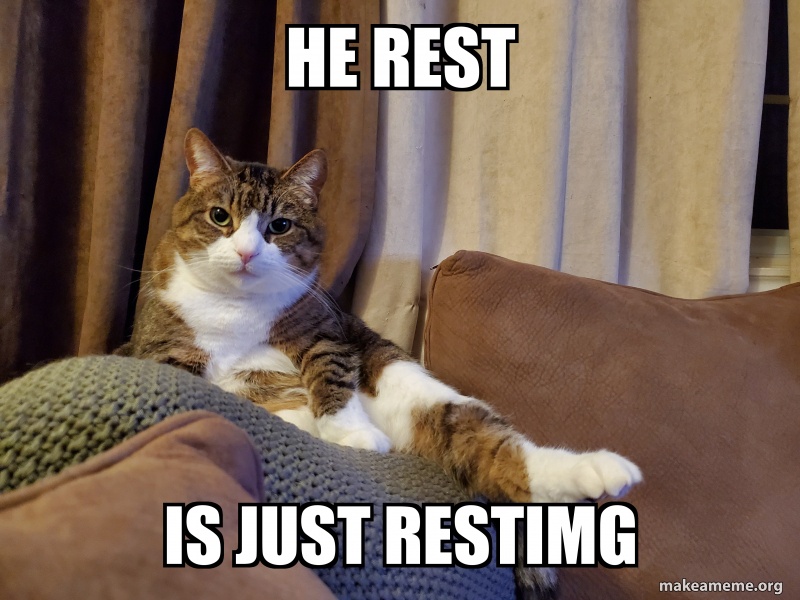 He rest Is just restimg Meme Generator