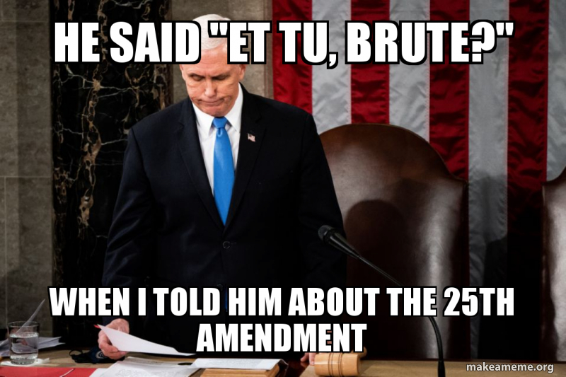 He said "et tu, brute?" when i told him ABOUT THE 25TH AMENDMENT Meme ...