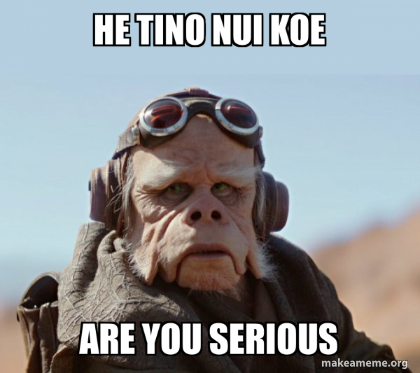 he tino nui koe are you serious - The Mandalorian - I Have Spoken Meme ...