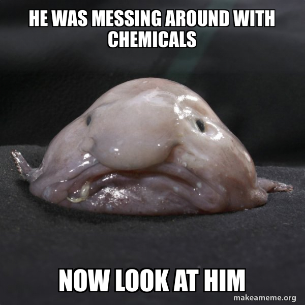 He was messing around with chemicals Now look at him - Blobfish Meme ...