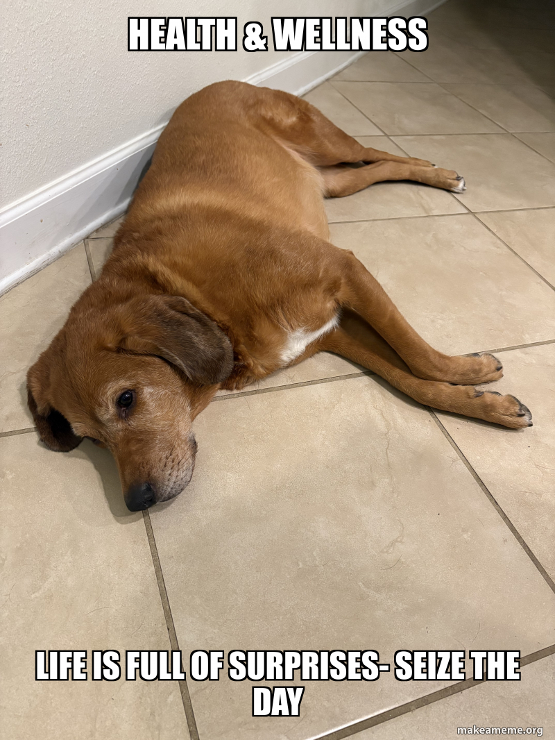 Health & Wellness Life is full of surprises- Seize the day Meme Generator