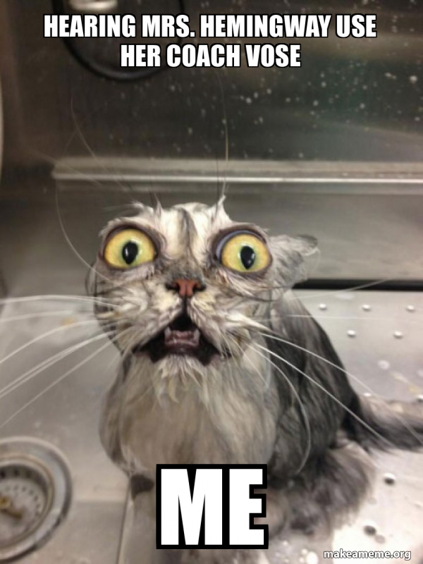 hearing Mrs. Hemingway use her coach vose me - Cat bath Meme Generator