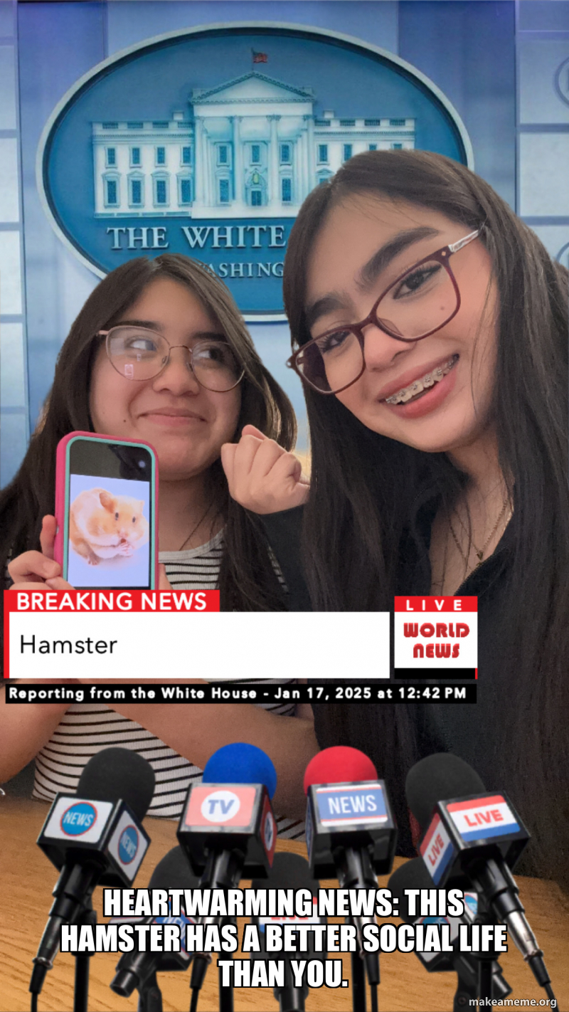 Heartwarming news: This hamster has a better social life than you. Meme ...