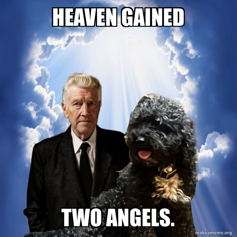 HEaven gained two angels. Meme Generator