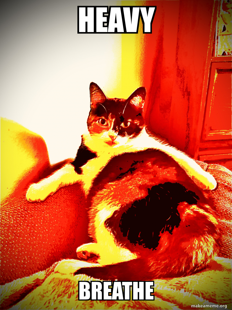 heavy breathe Meme Generator