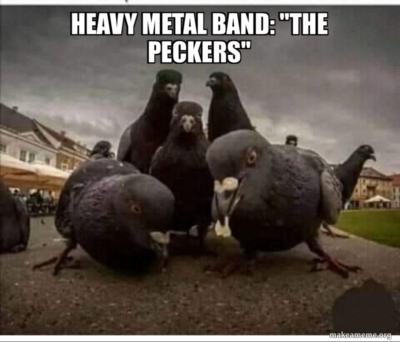 heavy metal band: "the peckers" Meme Generator