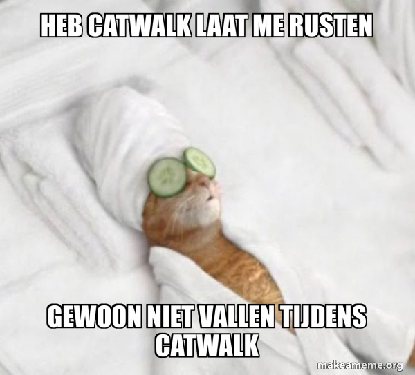 heb catwalk laat me rusten gewoon niet vallen tijdens catwalk ...