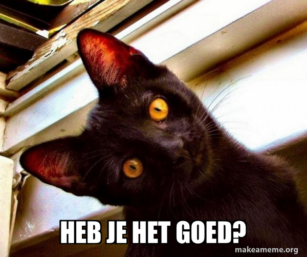 Heb je het goed? - Overly Attached Cat Meme Generator