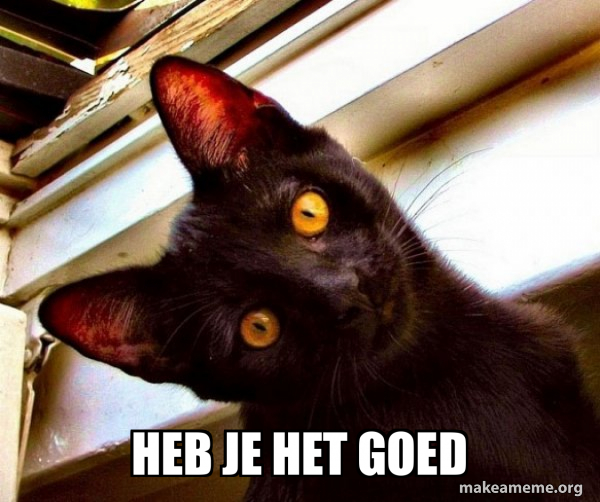 Heb je het goed - Overly Attached Cat Meme Generator