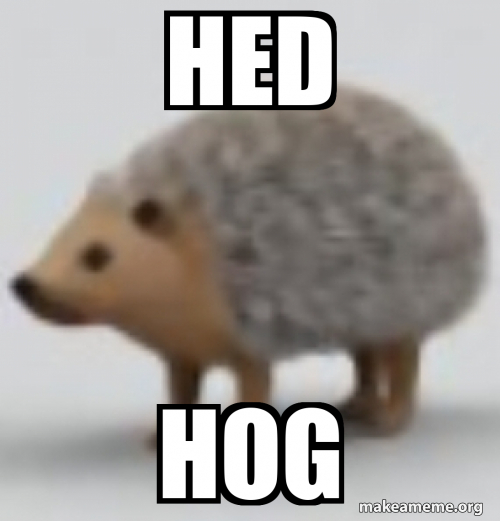 hed hog Meme Generator