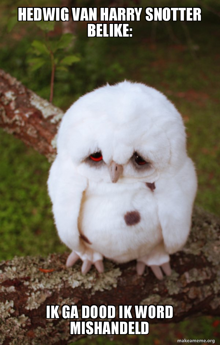 hedwig van harry snotter belike: ik ga dood IK WORD MISHANDELD - Sad ...
