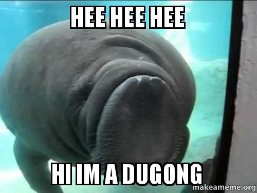 Hee Hee Hee Hi im a dugong - squished dugong Meme Generator