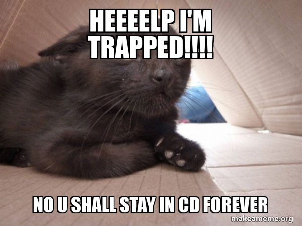 HEEEELP I'M TRAPPED!!!! NO U SHALL STAY IN CD FOREVER - Schitzo Cat ...