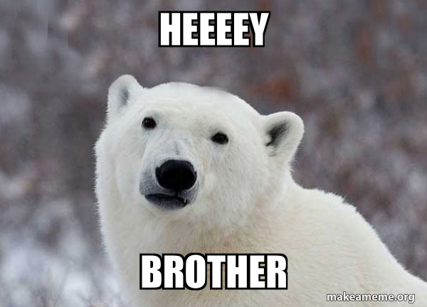 heeeey brother - Popular Opinion Polar Bear Meme Generator