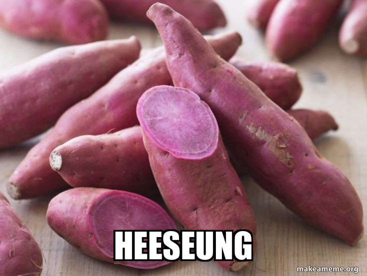 HEESEUNG Meme Generator