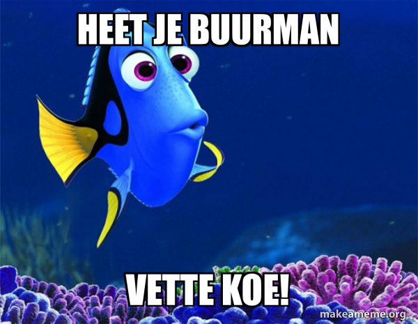 heet je buurman VETTE koe! - Dory from Nemo (5 second memory) Meme ...