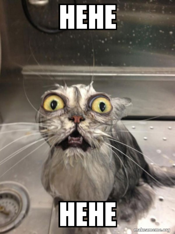 hehe hehe - Cat bath Meme Generator