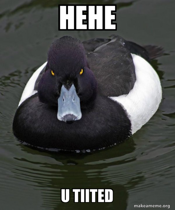 hehe u tiited - Revenge Duck ( Angry Advice Duck ) Meme Generator