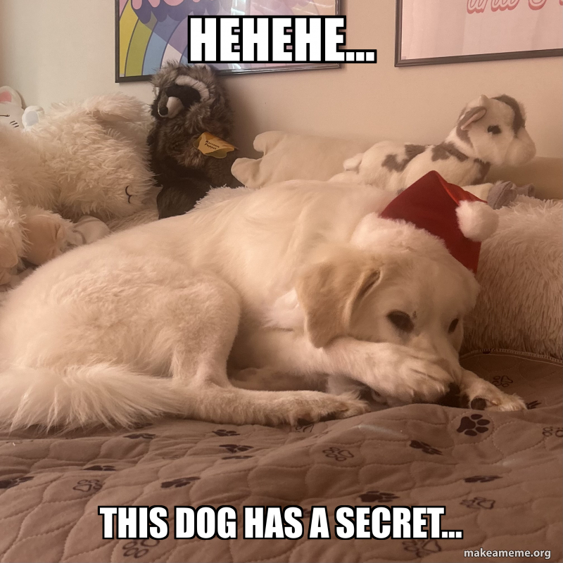 hehehe… This dog has a secret… Meme Generator