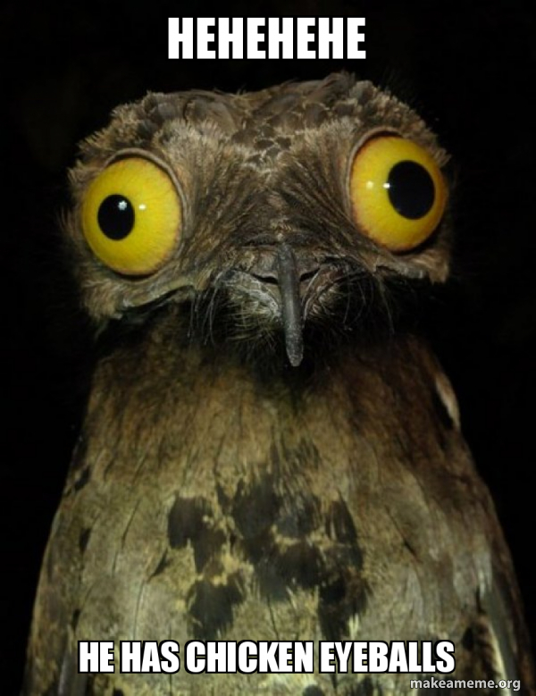 Hehehehe He has Chicken eyeballs - Weird Stuff I do Potoo Meme Generator