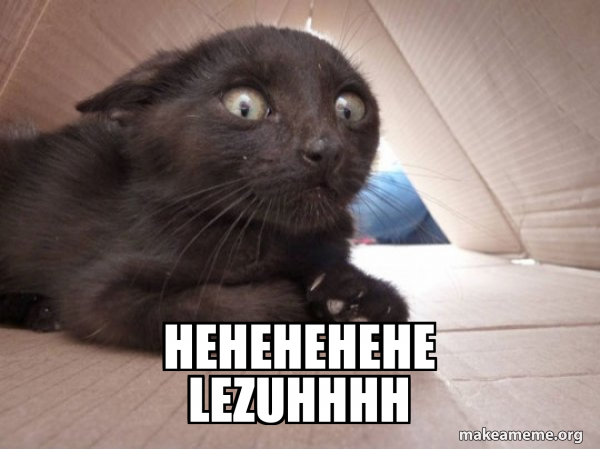 hehehehehe lezuhhhh - Schitzo Cat Meme Generator