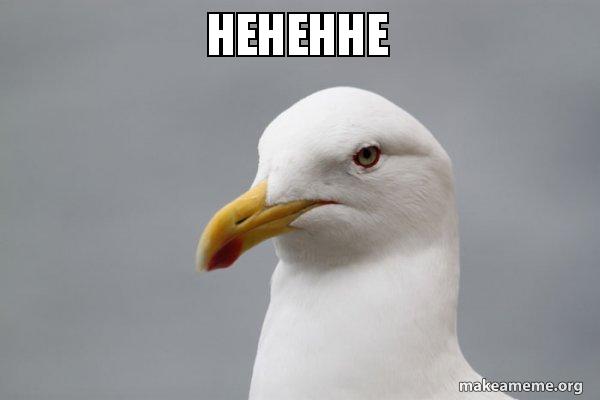 hehehhe - Stuff That Didn't Happen Seagull Meme Generator
