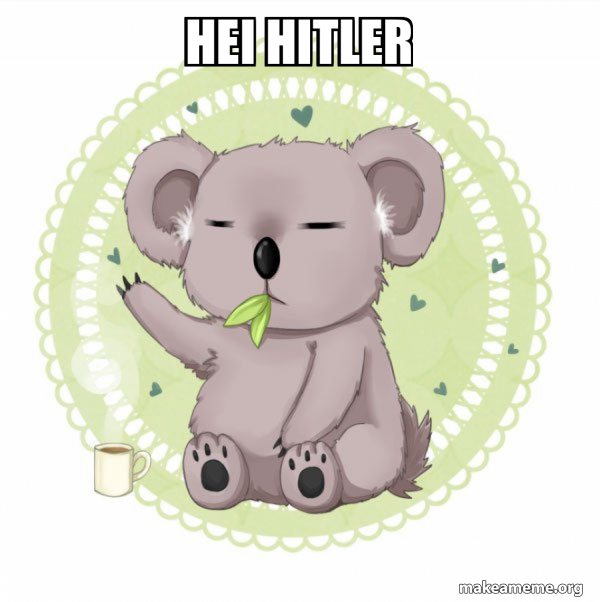 Hei hitler - Aussie Koala doing the night shift Meme Generator