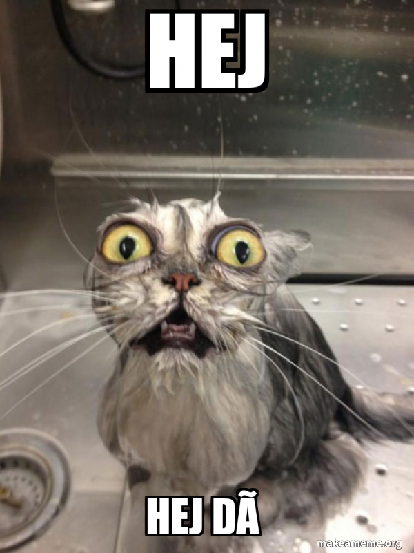 Hej Hej då - Cat bath Meme Generator
