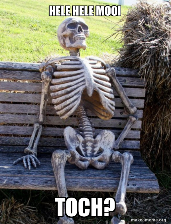 Hele hele mooi toch? - Waiting Skeleton Meme Generator